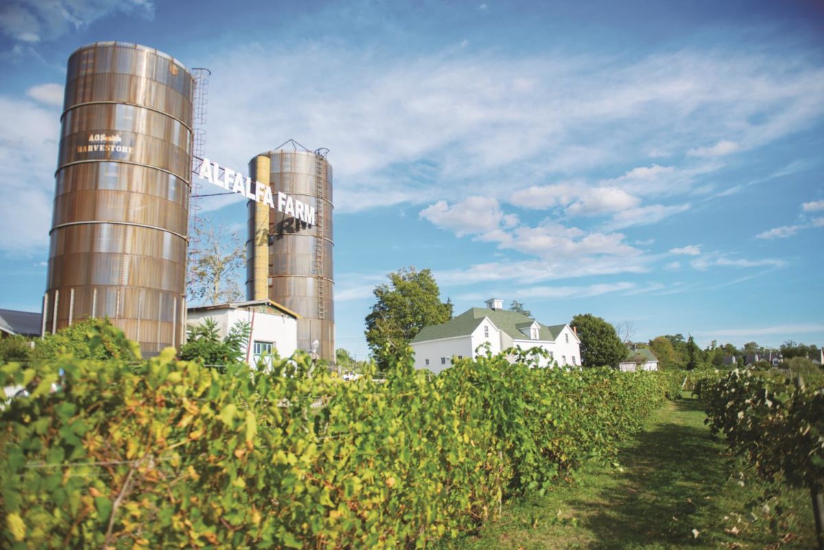 Valenzano Winery - Winery Wedding Guide